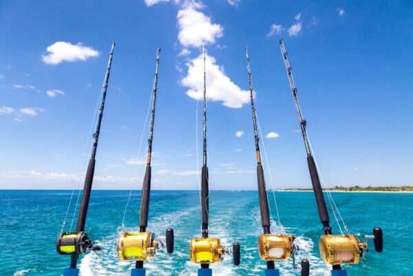 50 Fishing Quotes to Inspire Your Next Big Catch - mindfullquotes.com